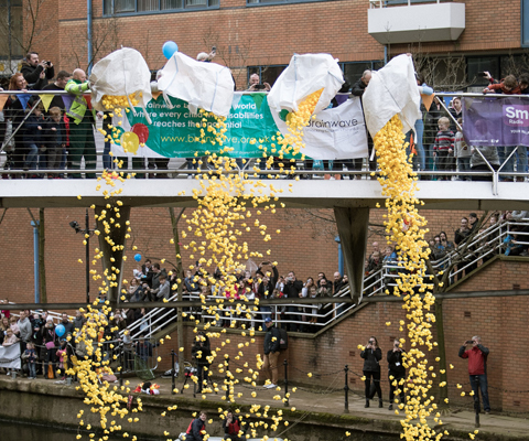 Manchester Duck Race campaign recognised by national awards | New Bailey